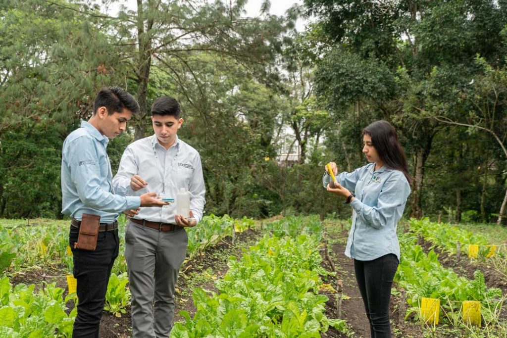 Admisiones – Universidad Tecnológica de Xicotepec de Juárez